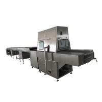 China 400mm Chocolate Enrober Machine 200-300 kg/h 220V/380V for Wafer Cookies Biscuits for sale