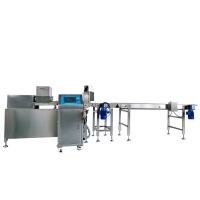 China Papa P400 Date Bar Extruder 400-600 kg/h Large Capacity Stainless Steel for sale