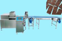 China Papa P400 Date Bar Extruder 400-600 kg/h Large Capacity Stainless Steel for sale