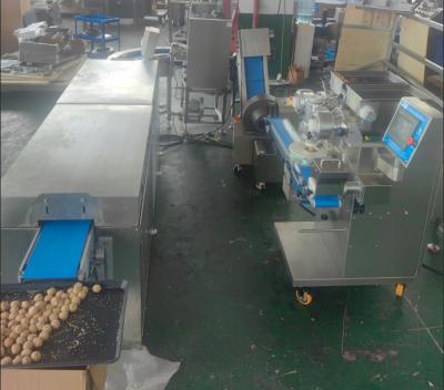 China Fully Automatic Protein Ball with Chocolate Production Line - Efficient, Hygienic, and High-Yield Solution for sale