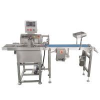 China Dry Strawberry Chocolate Enrobing Machine 80-150kg/h Freeze Dried Fruit Coater for sale