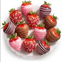 China Dry Strawberry Chocolate Enrobing Machine 80-150kg/h Freeze Dried Fruit Coater for sale