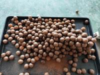 China Automatic 304 Stainless Steel Protein Ball Rolling Machine 2kW 220V for Date Ball Production Line for sale