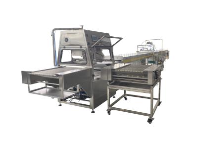 China Automatic Feeding 400mm Wide Chocolate Enrobing Machine Double Layer Coating with Cooling Tunnel for sale