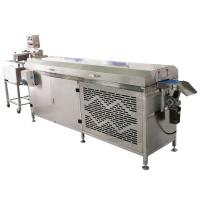 China Small Commercial Chocolate Enrober Machine with Cooling Tunnel Stainless Steel 304 220V Single Phase 8kg to 60kg Capacity for sale