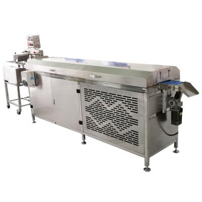 China Small Commercial Chocolate Enrober Machine with Cooling Tunnel Stainless Steel 304 220V Single Phase 8kg to 60kg Capacity for sale