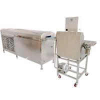 China Stainless Steel 304 Chocolate Enrober Machine 8kg Capacity with 3.2m Cooling Tunnel for sale