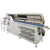 China Automatic Chocolate Enrober Machine 220V 10-25kg/h Capacity Stainless Steel 304 for sale