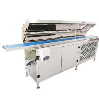 China Automatic Chocolate Enrober Machine 220V 10-25kg/h Capacity Stainless Steel 304 for sale