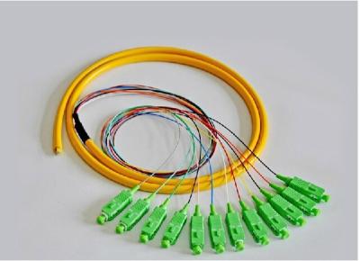 China 12 Core SC APC Fiber Optic Pigtail with 0.25dB Insertion Loss and 60dB Return Loss for Network Applications for sale