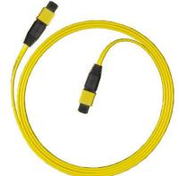 China MPO MTP Fiber Optic Patchcord 3.0mm Diameter with 0.7dB Insertion Loss for Data Centers for sale