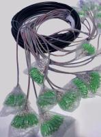 China 12-432F Fiber Optic Pigtail Fanout with 250µm Fibers and 600-3000N Tension Rating for sale
