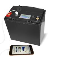 China BMS Lifepo4 Lithium Battery Pack 12v 24V 48v 100ah 150ah 200ah 300ah for sale