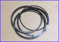 China 129590 - 22510 Diesel Engine Piston Rings With TS16969 Certification for sale