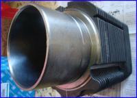 China 101WR09 Cast Iron Cylinder Sleeve 125mm x 250.7mm Air Cooled Engine Block Liner for Deutz FL413 for sale