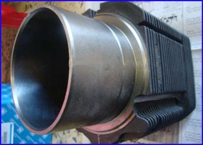 China 101WR09 Cast Iron Cylinder Sleeve 125mm x 250.7mm Air Cooled Engine Block Liner for Deutz FL413 for sale