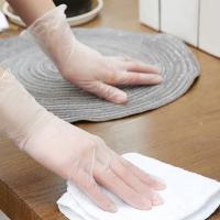 China Transparent Disposable Vinyl Gloves Labor Protection Anti Acid PVC Elastic Gloves for sale