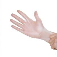 China PVC Smooth Touch Disposable Vinyl Gloves Powder free Anti cut OEM & ODM for sale