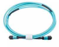 China 20 ft MPO Fiber Optic Cable 24 Cores OM3 Multimode LSZH 850nm Trunk Assembly for sale
