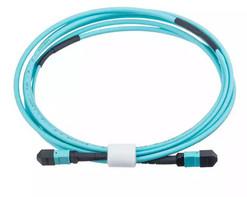 China 20 ft MPO Fiber Optic Cable 24 Cores OM3 Multimode LSZH 850nm Trunk Assembly for sale