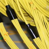 China LC Duplex MM OM3 50um 2F Zipcord Riser Pre Terminated Cable for sale