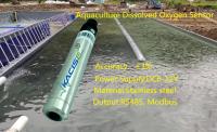 China RS485 output Dissolved Oxygen Sensor Water Quality Sensor IP68 Optical fluoresce do probe For Shrimp Farm for sale