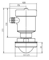 China Strong Corrosive Liquid Chemical Tanks Radar Level Sensor 80m FMCW KLD804 for sale