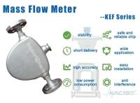 China Milk mass flow meter for hot sale for sale