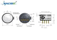 China Small Size Dual Sensor for Carbon Monoxide and Hydrogen Sulfide Detection Zero Current ± 6 Linearity 40 for sale