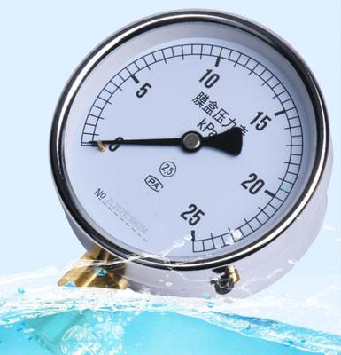 China Stainless Steel Bellows Pressure Gauge with IP65 Protection and Bellows Sensing Element for Micro and Negative Pressure Measurement for sale