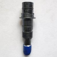 China Signet 2724 PH Electrode ( Flat, 3K Balco, ¾ In. NPT, DryLoc Connector ) for sale