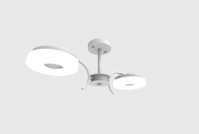 China 2018 pendant lamp 2 lights led light for sale