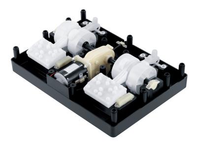 China WANLI Kneading Motor For Foot Massager Knocking Massager Movement Parts for sale