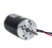 China 12V/24V High Torque Electric Dc Motor for Hair Dryer / Massager for sale