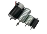 China Customizable Electric Brushed Brushless DC Motor 310V PMDC Worm Gear Motor for sale
