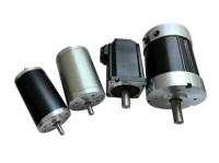 China Customizable Electric Brushed Brushless DC Motor 310V PMDC Worm Gear Motor for sale