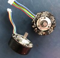 China Customized Permanent Magnet Brushed Dc Motor 1000-3000rpm For Massage Guns for sale