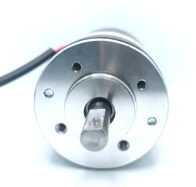 China DC24V Percussion Motor Massage Gun Motor 10-500W 1000-3600RPM for sale