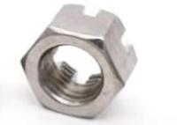 China Fasteners M4 Hexagon Slotted Nut Carbon Steel Zinc Galvanized Din 935 for sale