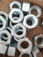 China Hex Nut 4.8/8.8 Grade Zinc planted Carbon Steel HDG Nut Factory for sale