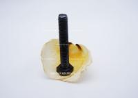 China Zinc Coated Hex Head Flange Bolt / Full Thread Heavy Hex Structural Bolts M6-M24 for sale