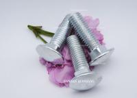 China M10-36 Zinc Plated Carriage Bolt Class 4.8/8.8/10.9 for sale