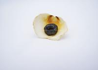 China Hexagonal Flange Hex Nut M3 - M24 Colorful High Strength Grade 4.8 / 6.8 / 8.8 for sale