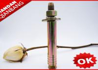 China Hex Sleeve Elevator Expansion Anchor Bolt M6~M24 for sale