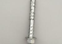 China Iron Material Mechanical Anchor Bolt With White Zinc Color Fasteners for sale