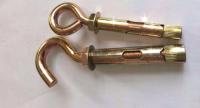 China Iron Material Expansion Anchor Bolt High Quality Eye Bolts Anchors of 4.8 8.8  Grade for sale
