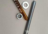China Standard M12*100 Chemical Anchor Bolt for sale