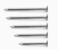 China Big round nails foreign nails long nails  wall nails thick nails iron Ding nails for sale