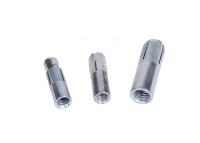 China Carbon Steel White Or Yellow Galvanized Drop In Anchor for sale
