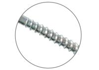 China M6-12 Carbon Steel Zinc Plated Coach Screw DIN571 for sale